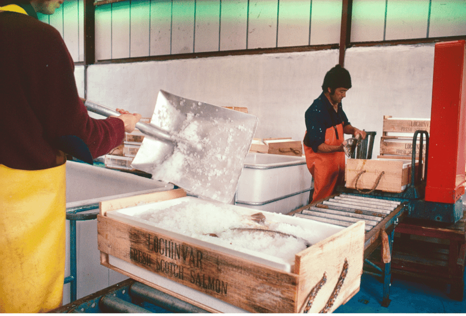 Mowi celebrates 60 years in Scotland | The Fish Site