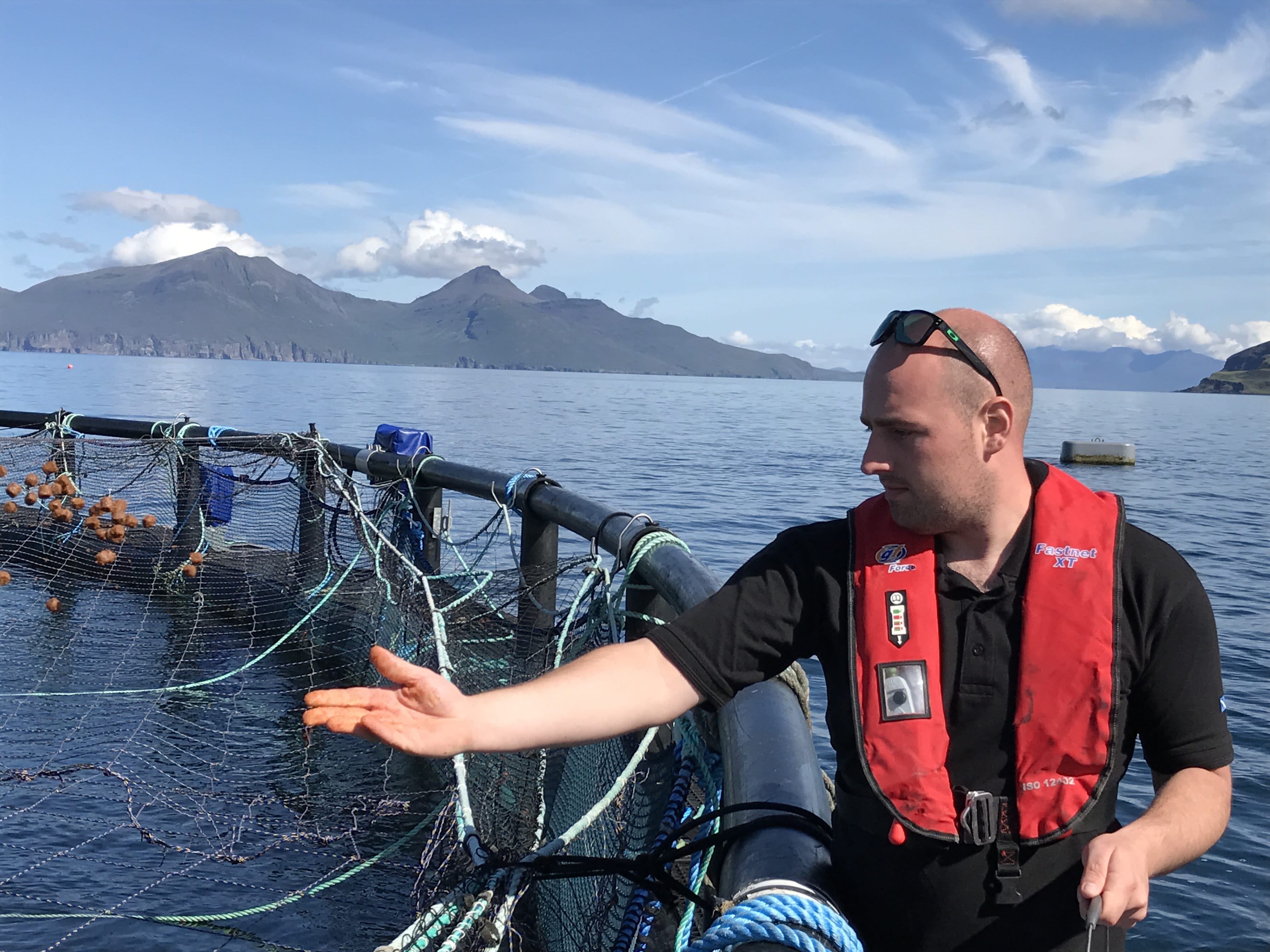 Marine Harvest wins new salmon site approval | The Fish Site