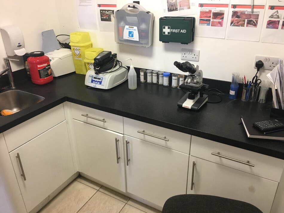 Fish health from the front line | The Fish Site