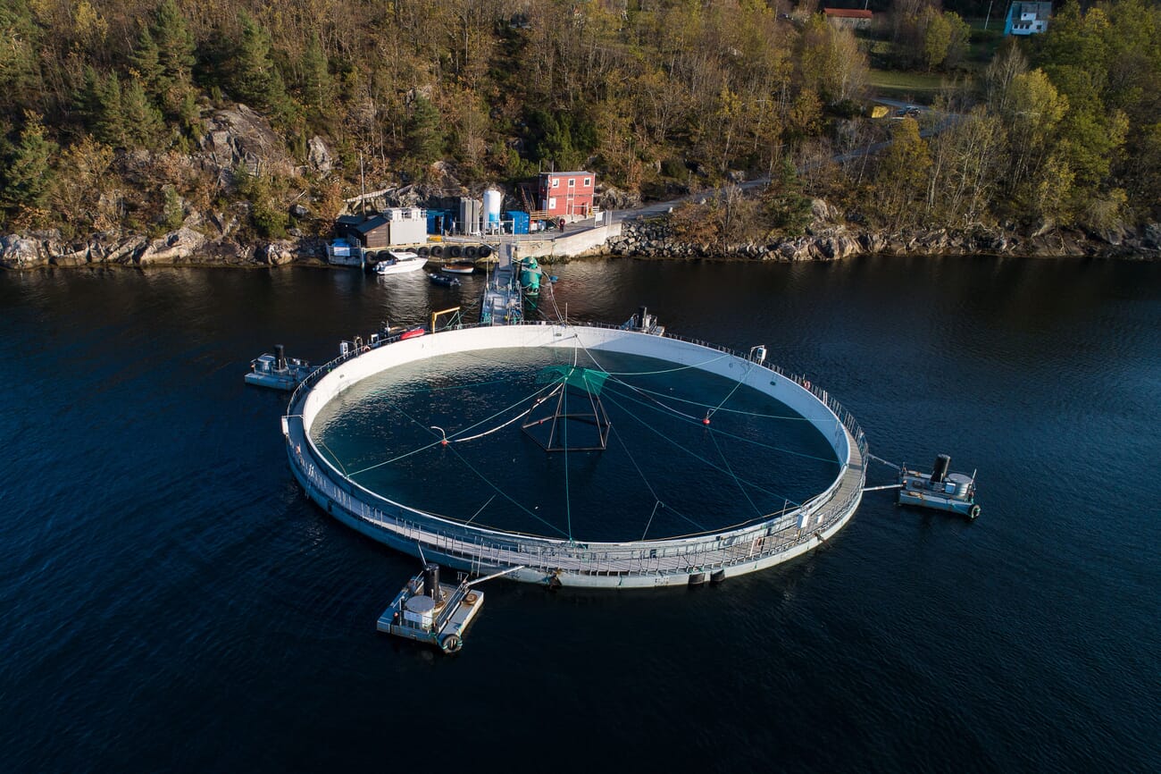 Mowi bids to install novel closed-containment salmon farms | The Fish Site