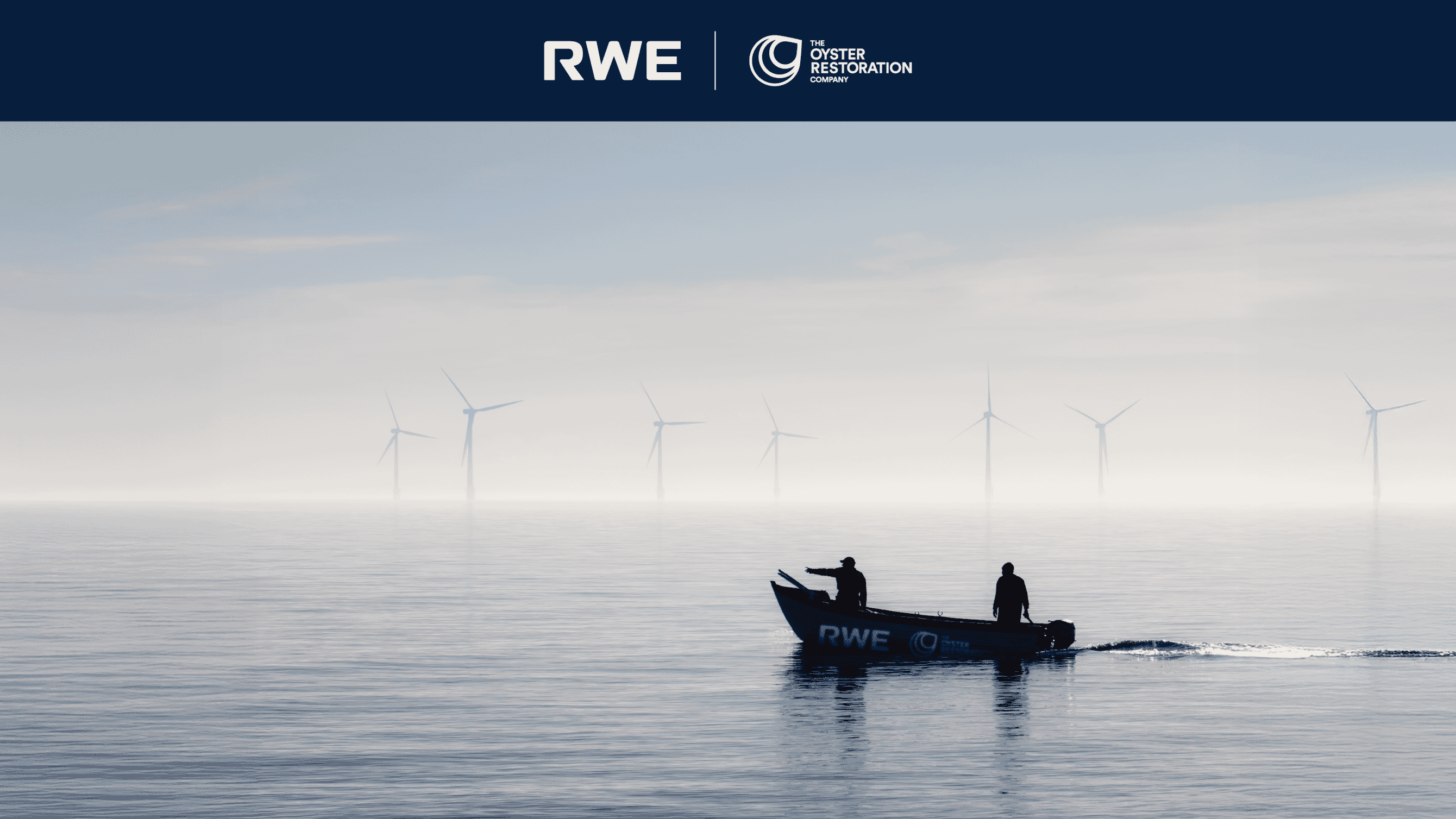 Feasibility study confirms oyster reef restoration within offshore wind ...