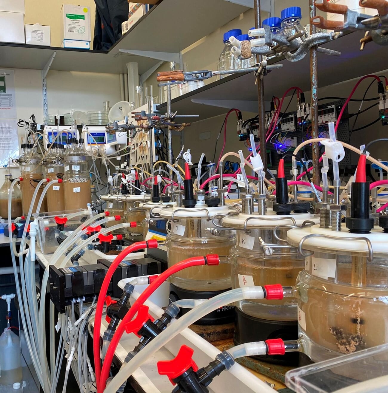 Gut simulation startup lands international contract with leading animal ...