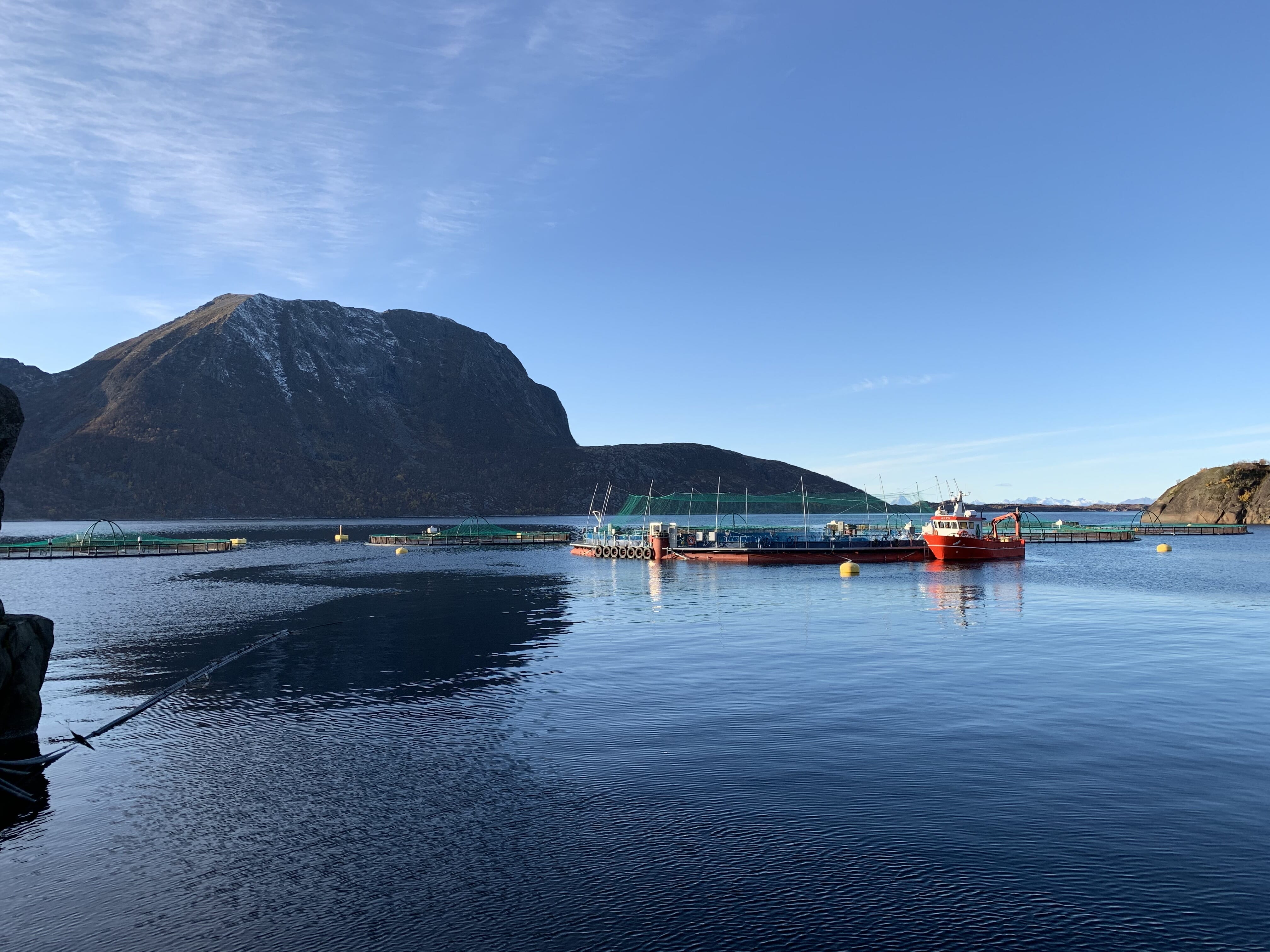 A new frontier for semi-closed containment fish farms? | The Fish Site