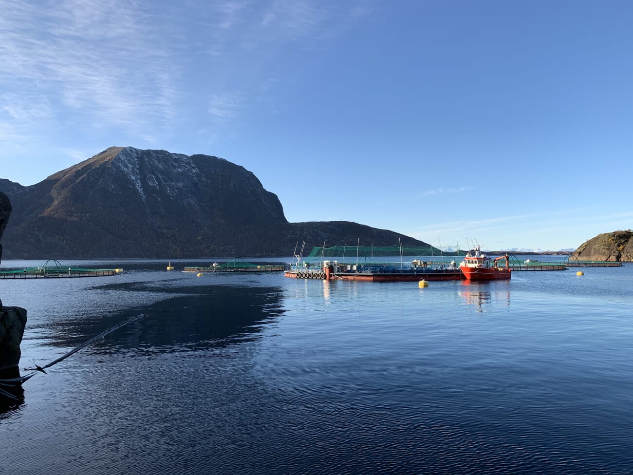 A new frontier for semi-closed containment fish farms? | The Fish Site