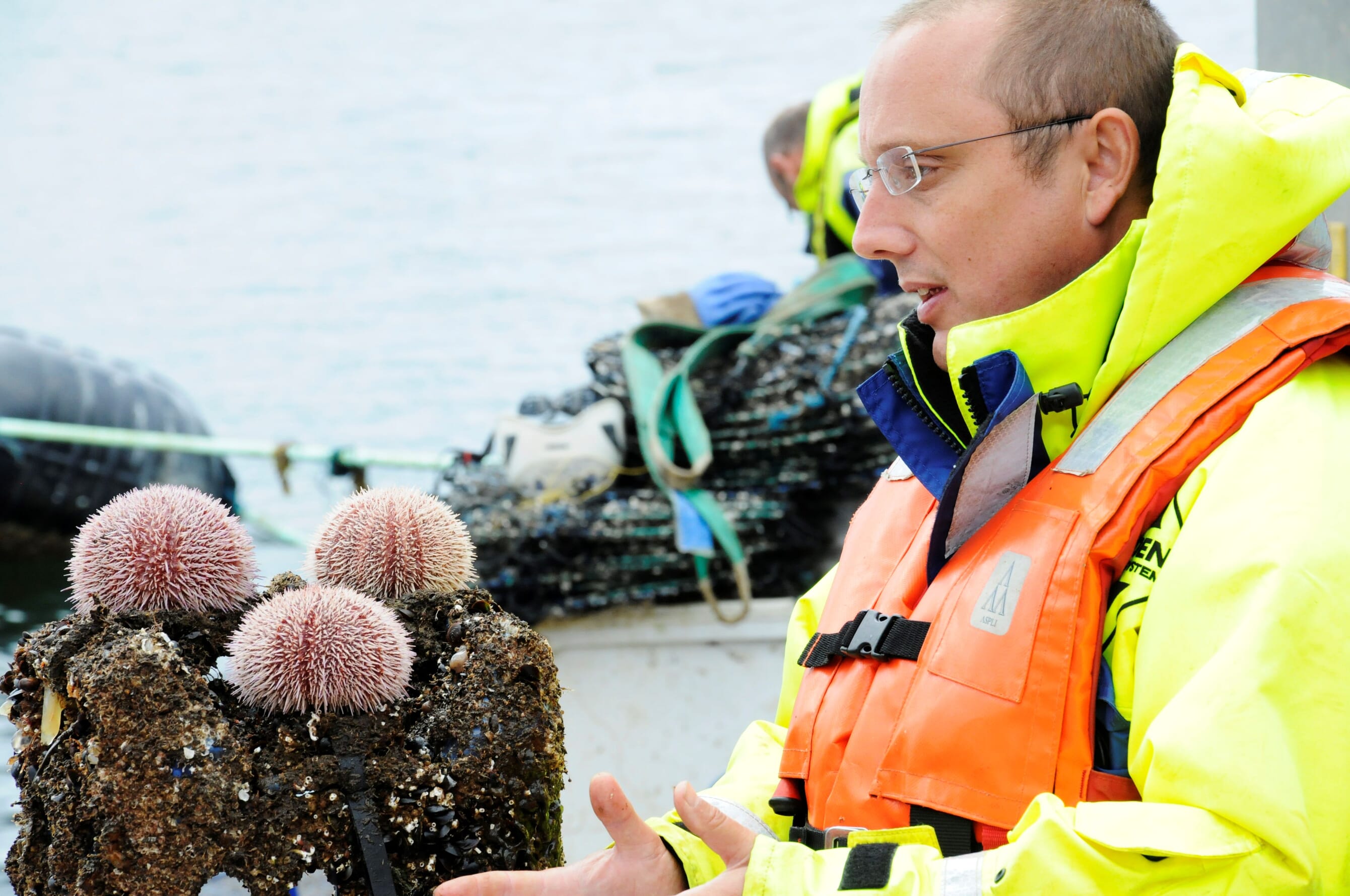 SAMS’ Dr Adam Hughes awarded professorship by UHI | The Fish Site
