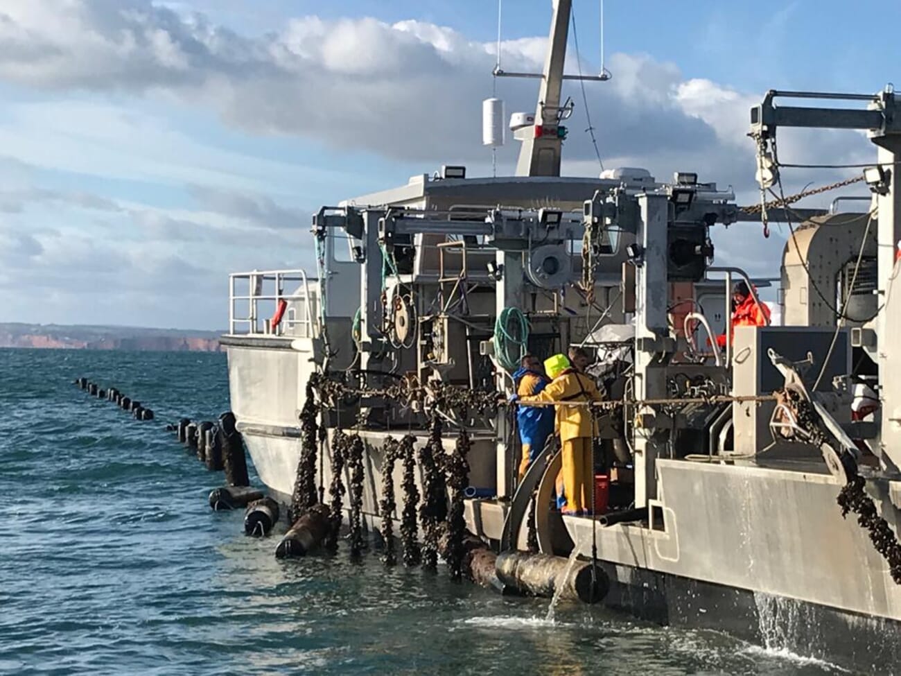 Pioneering mussel producer scoops top aquaculture award | The Fish Site