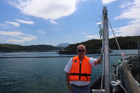 Invention is better than cure | The Fish Site