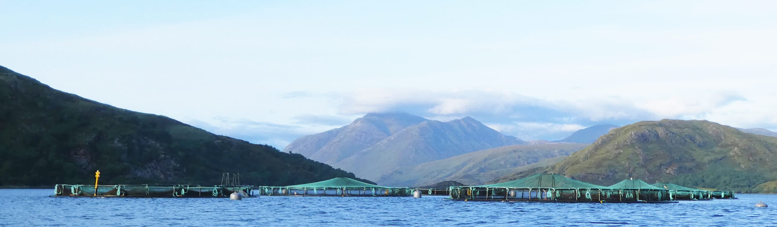 Buyer sought for UKs largest trout farmer | The Fish Site