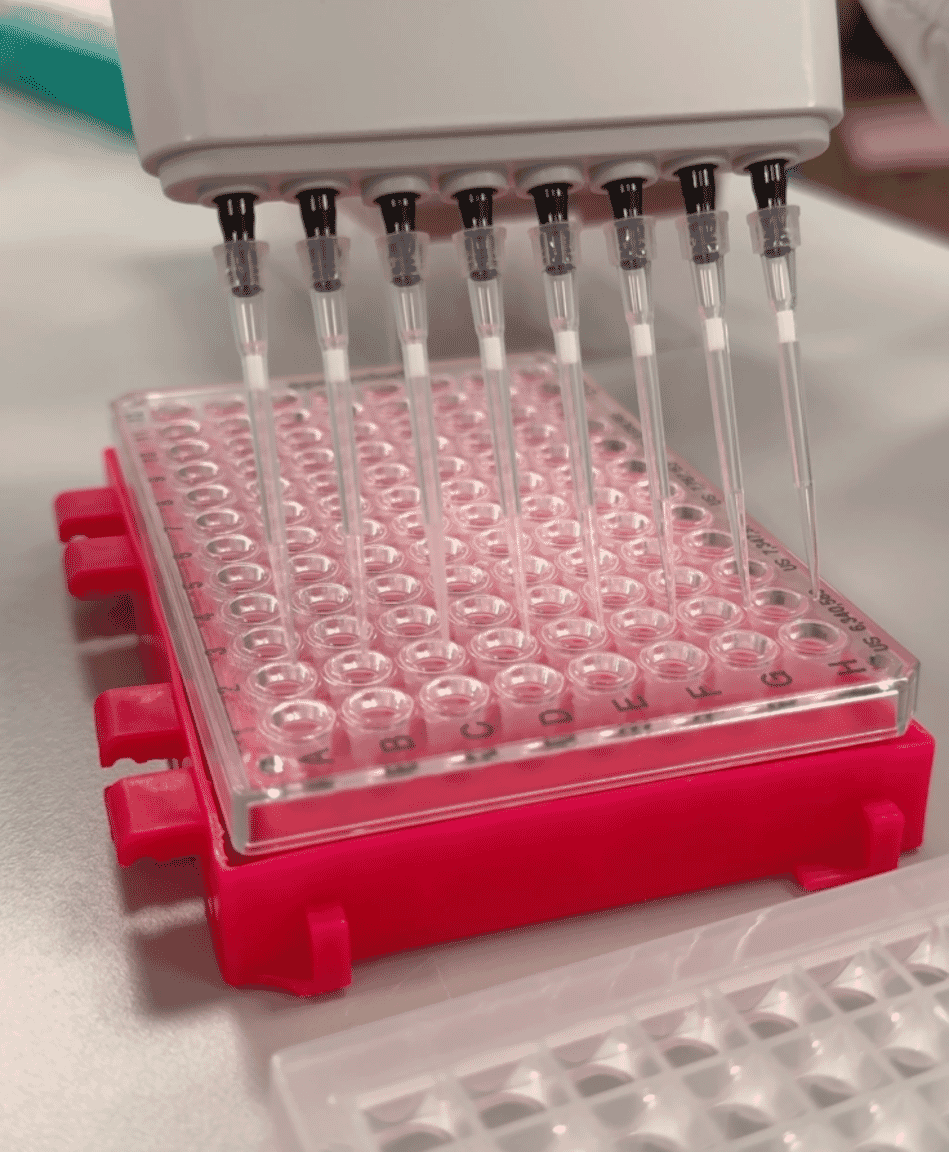 New UK partnership targets shellfish hatchery losses with phage ...