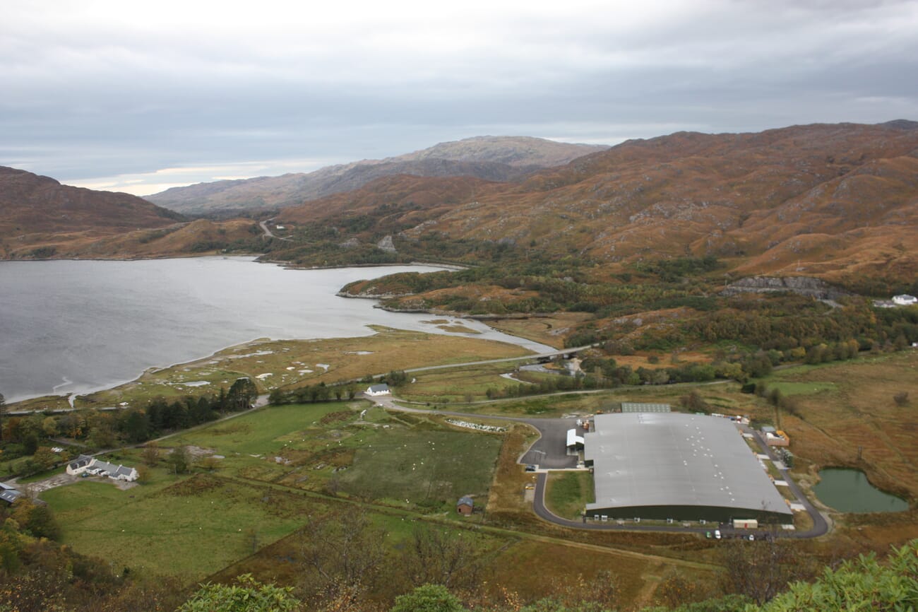 Fern Gillies Robertson | The Fish Site