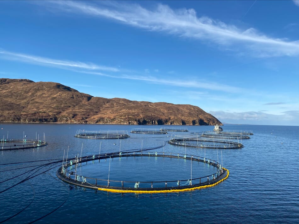 Leading a young farming team to success on Scalpay | The Fish Site