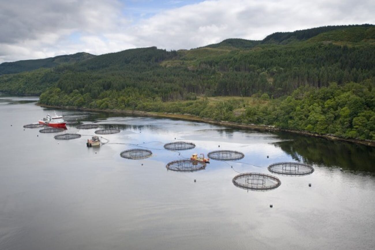 Scotland's salmon farmers float potential solution to rural housing ...