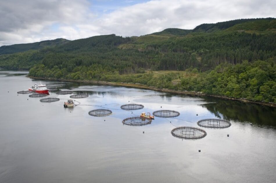 Scotland's salmon farmers float potential solution to rural housing ...