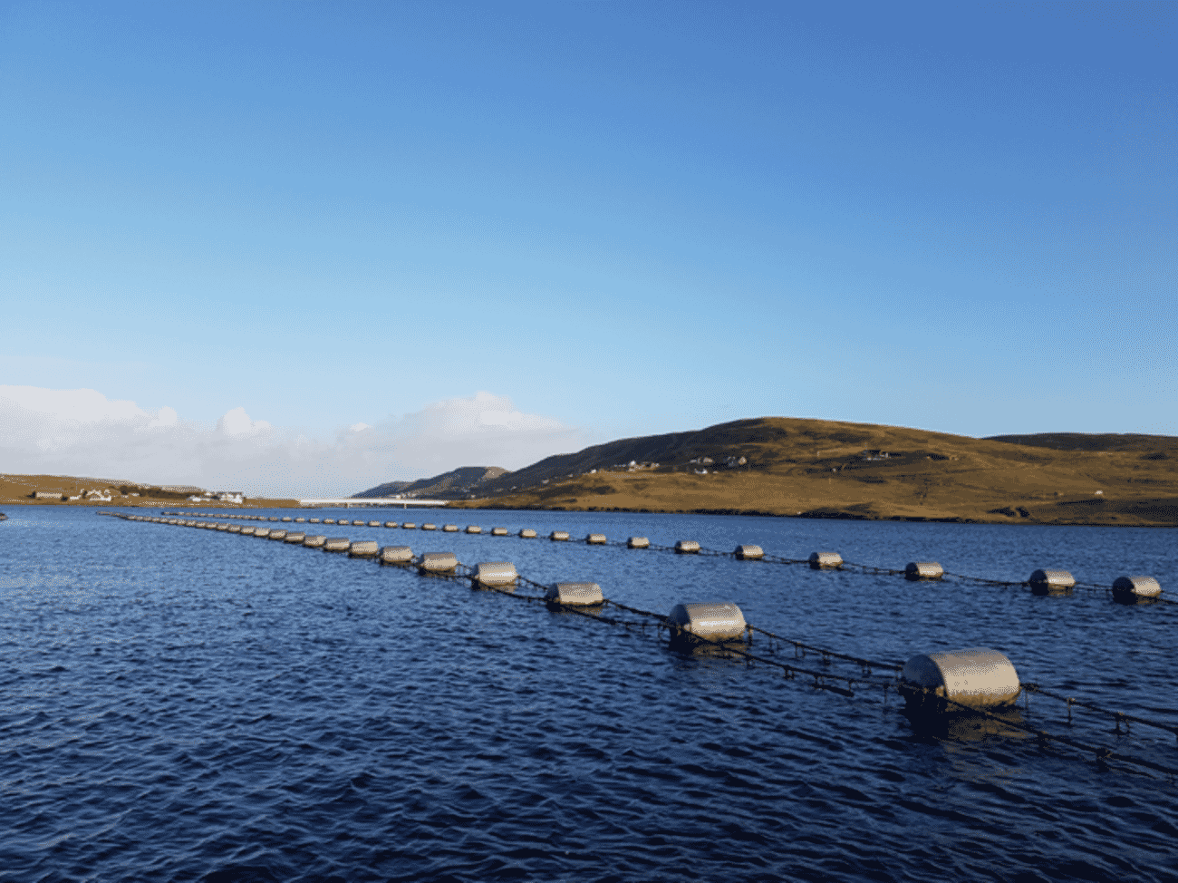 The space programme that's set to help Shetland's fish and shellfish ...