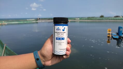 Using technology to improve water quality management in shrimp farming ...