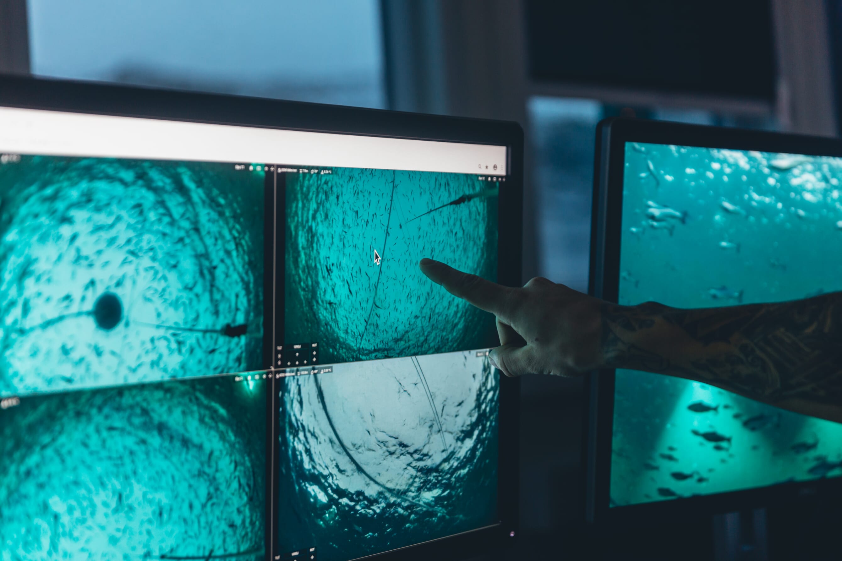 Reconsidering welfare principles in aquaculture | The Fish Site