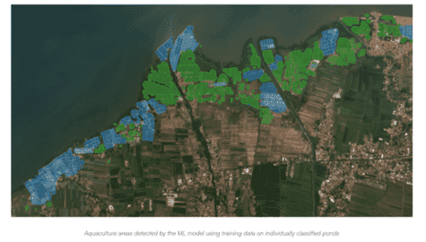 Shrimp farming innovations that combine profitability with ...