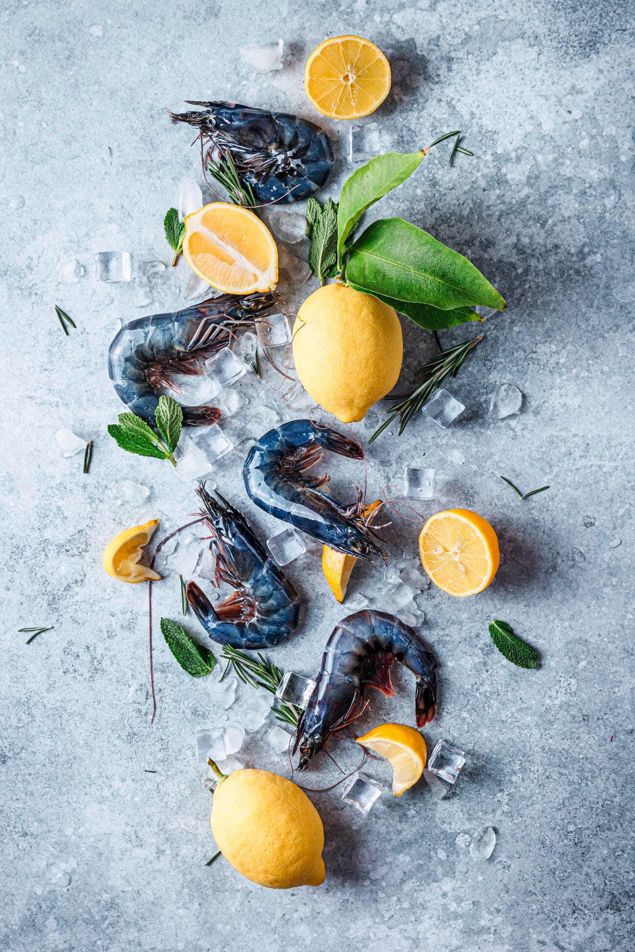 The outsiders looking to rip up the shrimp RAS rulebook | The Fish Site