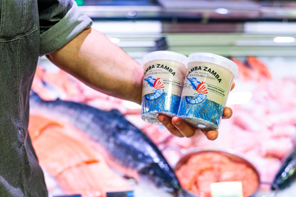 The outsiders looking to rip up the shrimp RAS rulebook | The Fish Site
