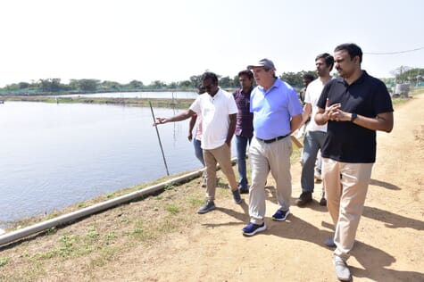 Why abuse allegations should cause a rethink for the Indian shrimp ...