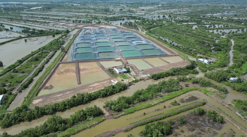 Tran’s plan to revolutionise Vietnam’s shrimp sector | The Fish Site