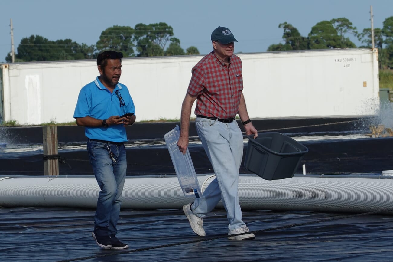 Robins McIntosh | The Fish Site