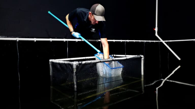 An investor’s perspective on indoor shrimp farming | The Fish Site