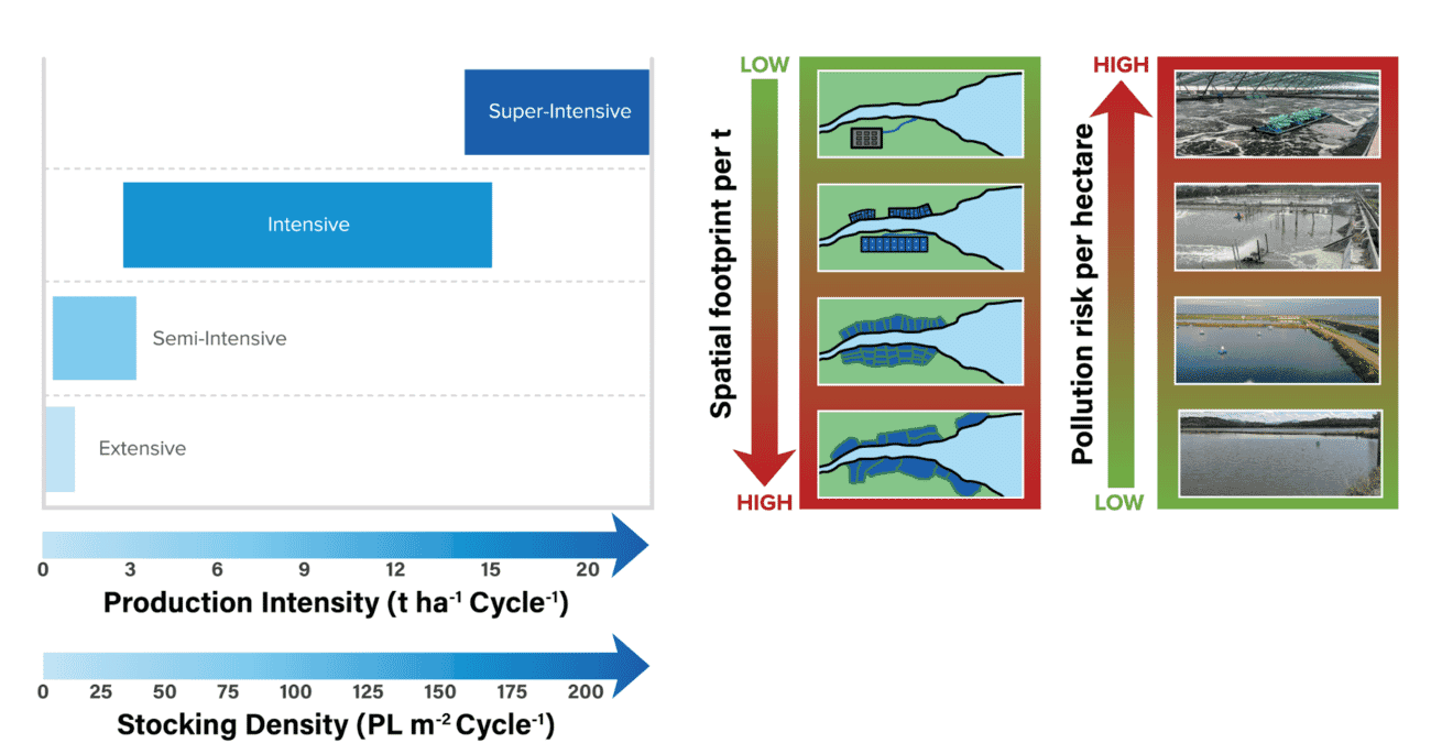 A nature-based solutions approach to managing shrimp aquaculture ...