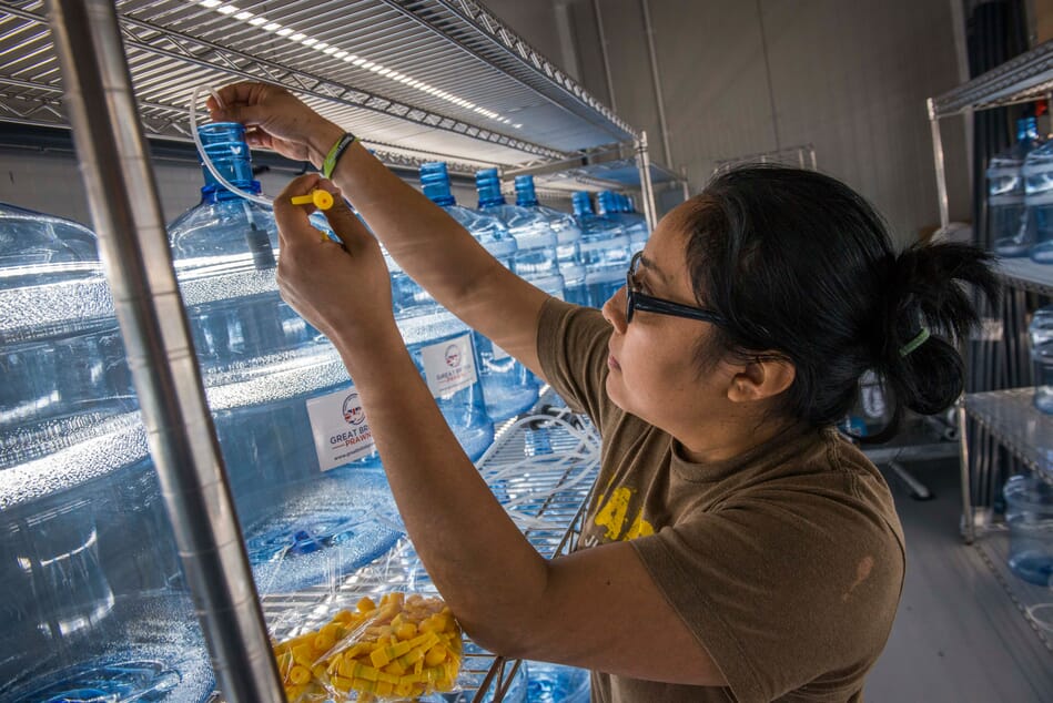 Britain's prawn farming pioneers | The Fish Site