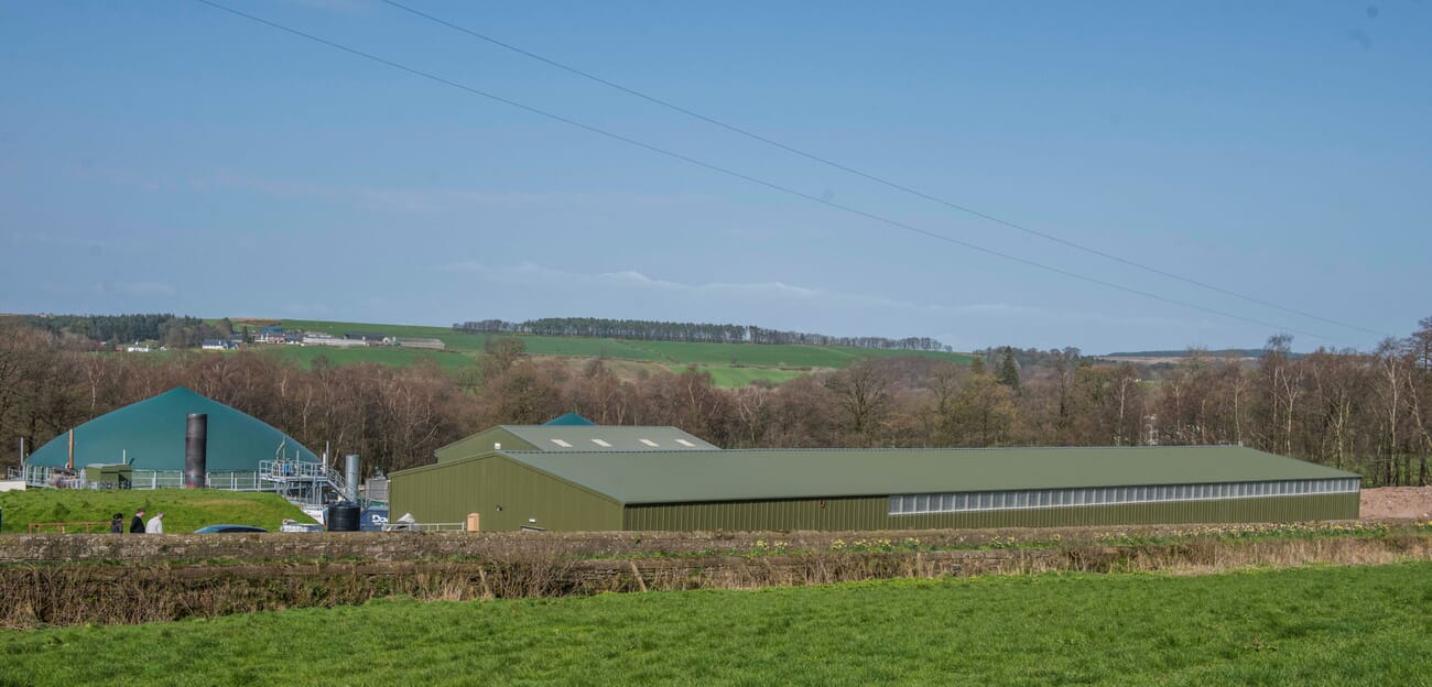Britain's prawn farming pioneers | The Fish Site