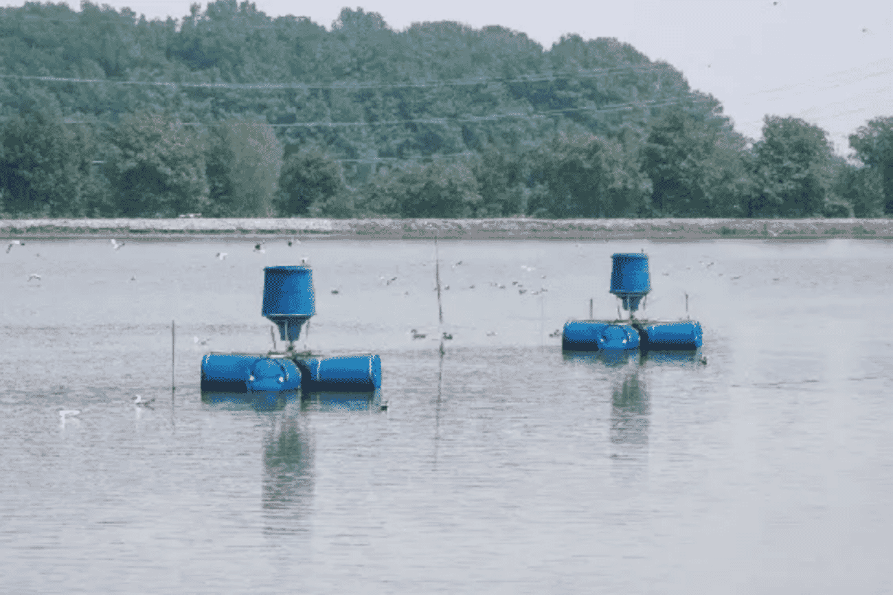 Why Ecuador’s aquaculture operators have created “business class for ...