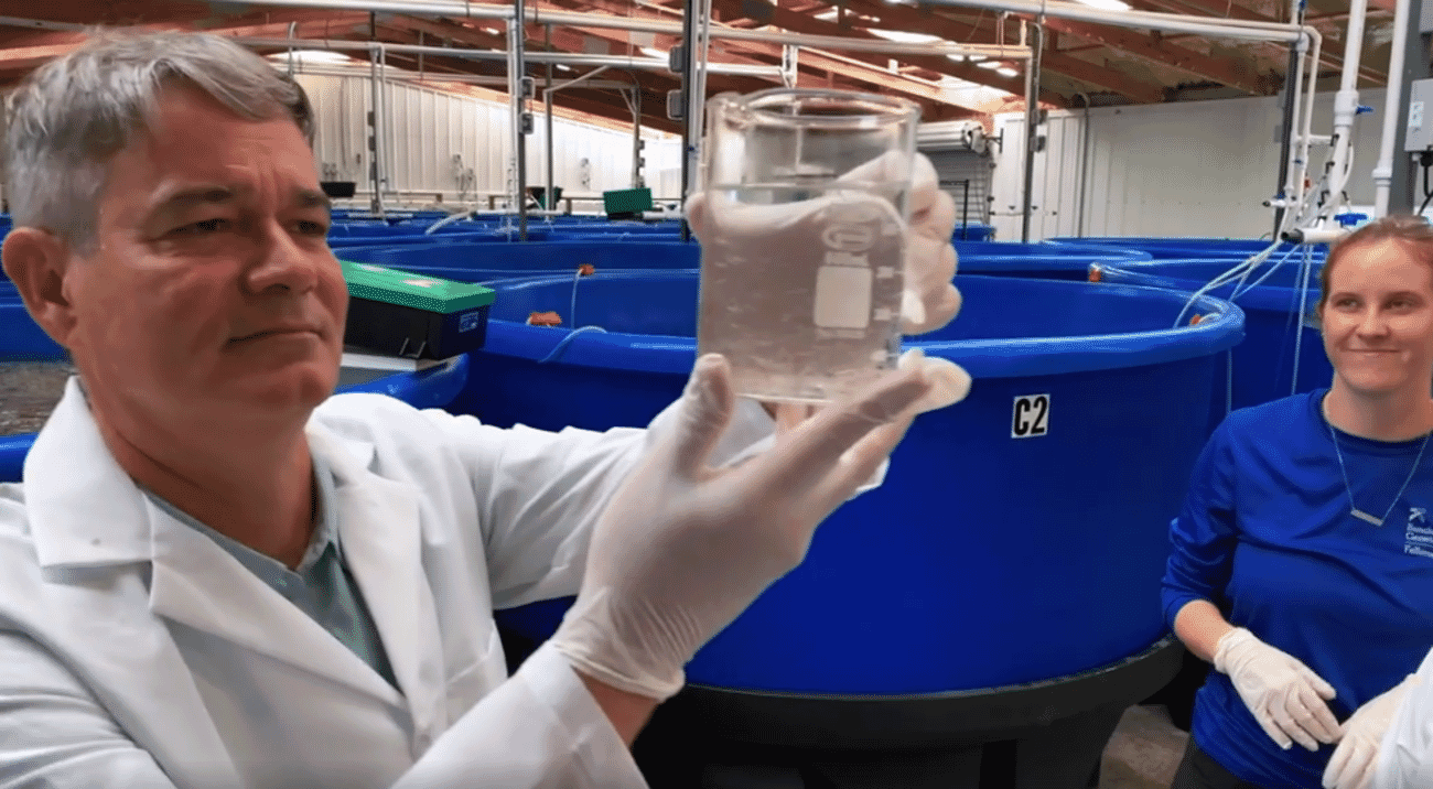 A new Benchmark in shrimp production | The Fish Site