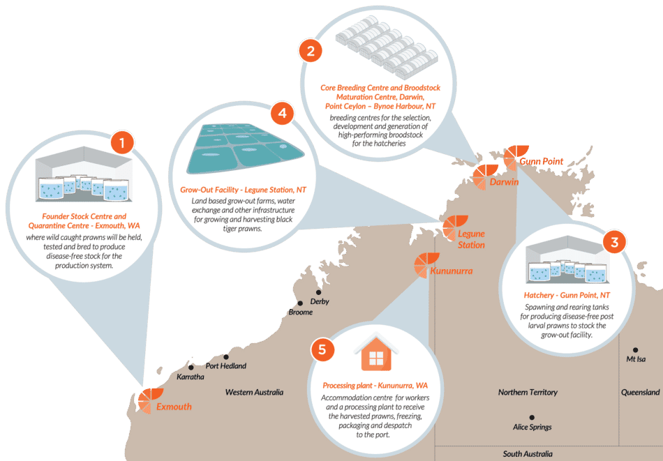 Major setback for Seafarms as prawn farm project declared unviable ...