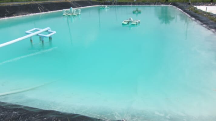 The fatal flaws in Asian shrimp aquaculture | The Fish Site