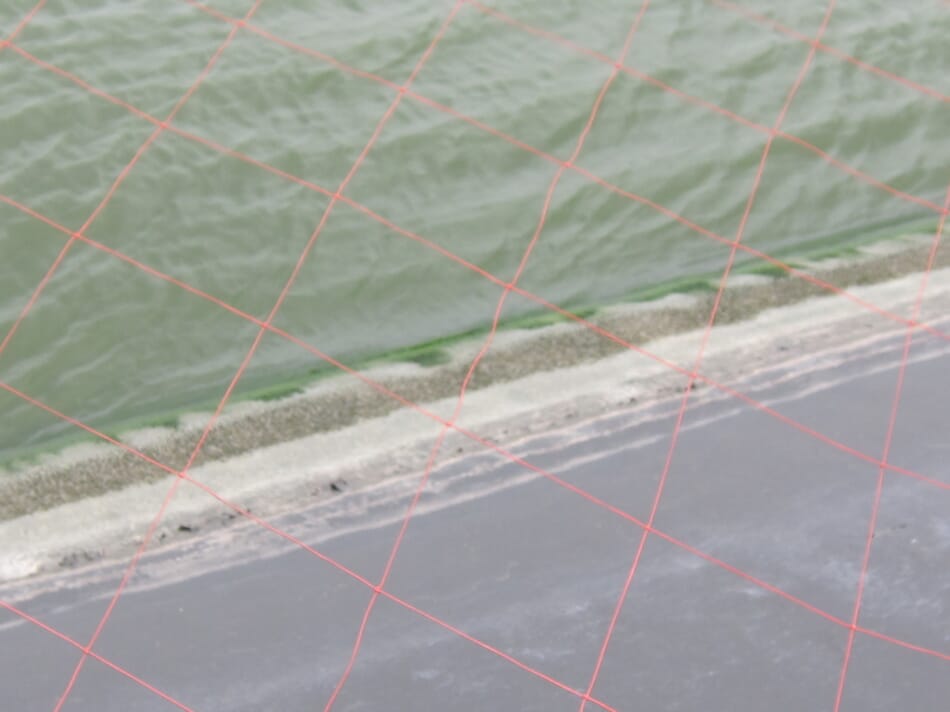 The fatal flaws in Asian shrimp aquaculture | The Fish Site