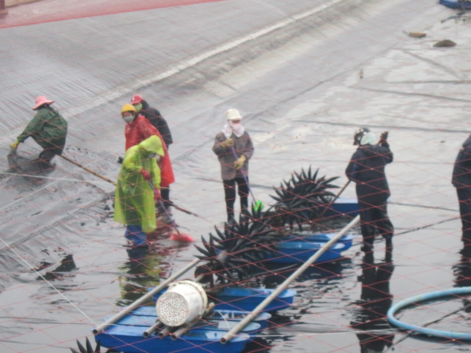 Why less can be more for Asia’s shrimp farms | The Fish Site