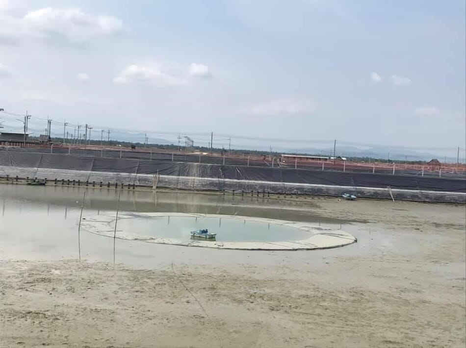 Why less can be more for Asia’s shrimp farms | The Fish Site