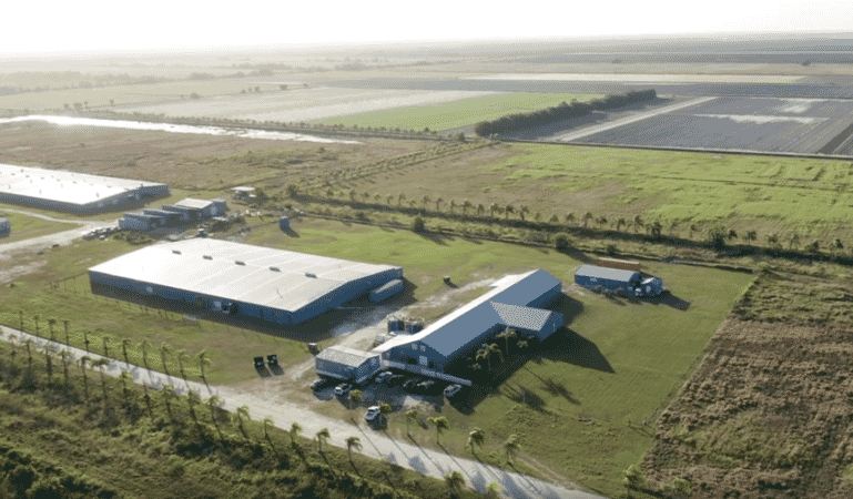 A new Benchmark in shrimp production | The Fish Site