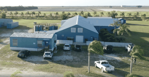 A new Benchmark in shrimp production | The Fish Site