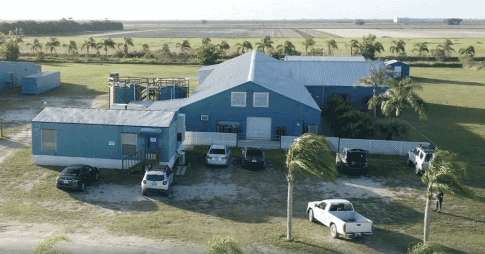 A new Benchmark in shrimp production | The Fish Site