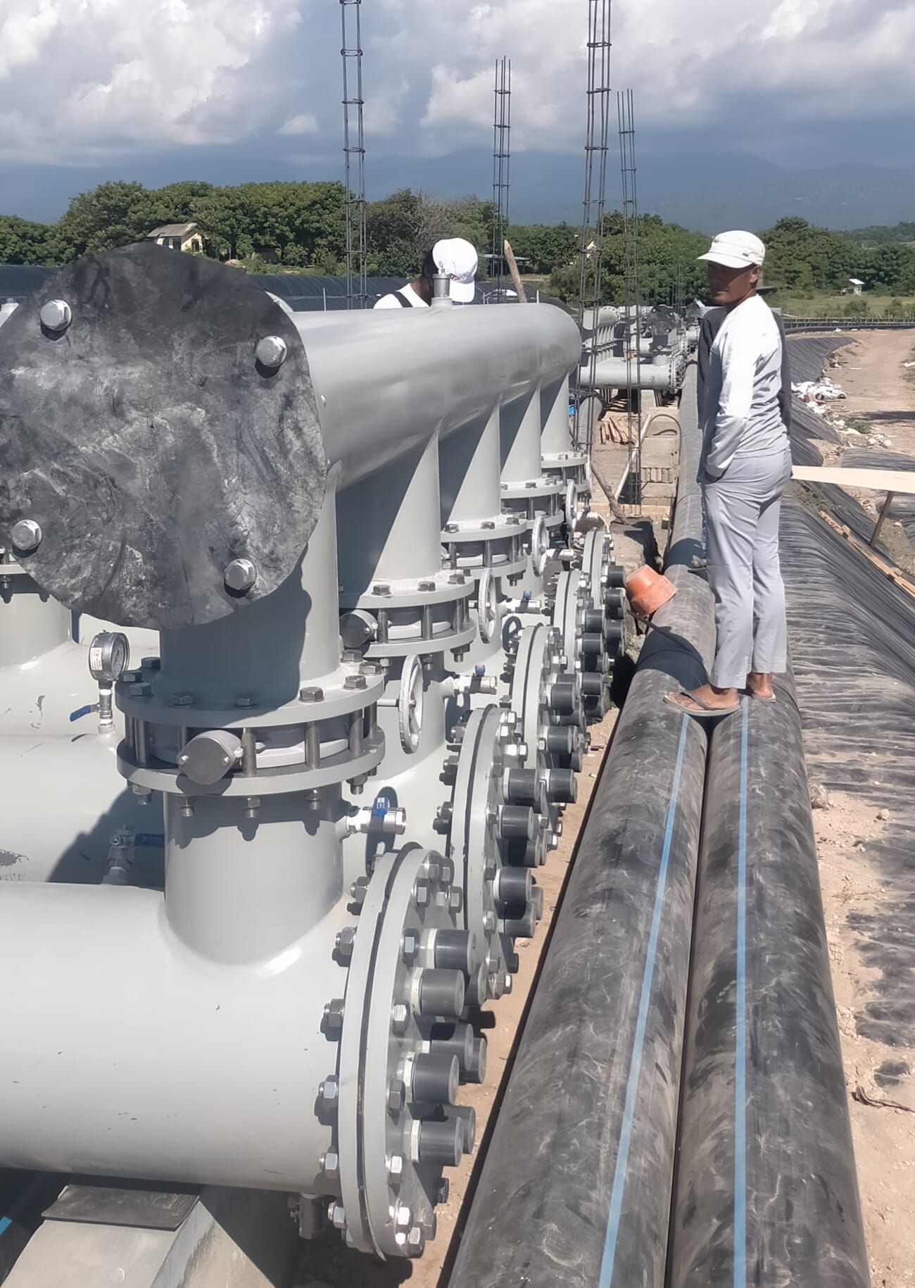 UV disinfection proves its worth in shrimp grow-out ponds | The Fish Site