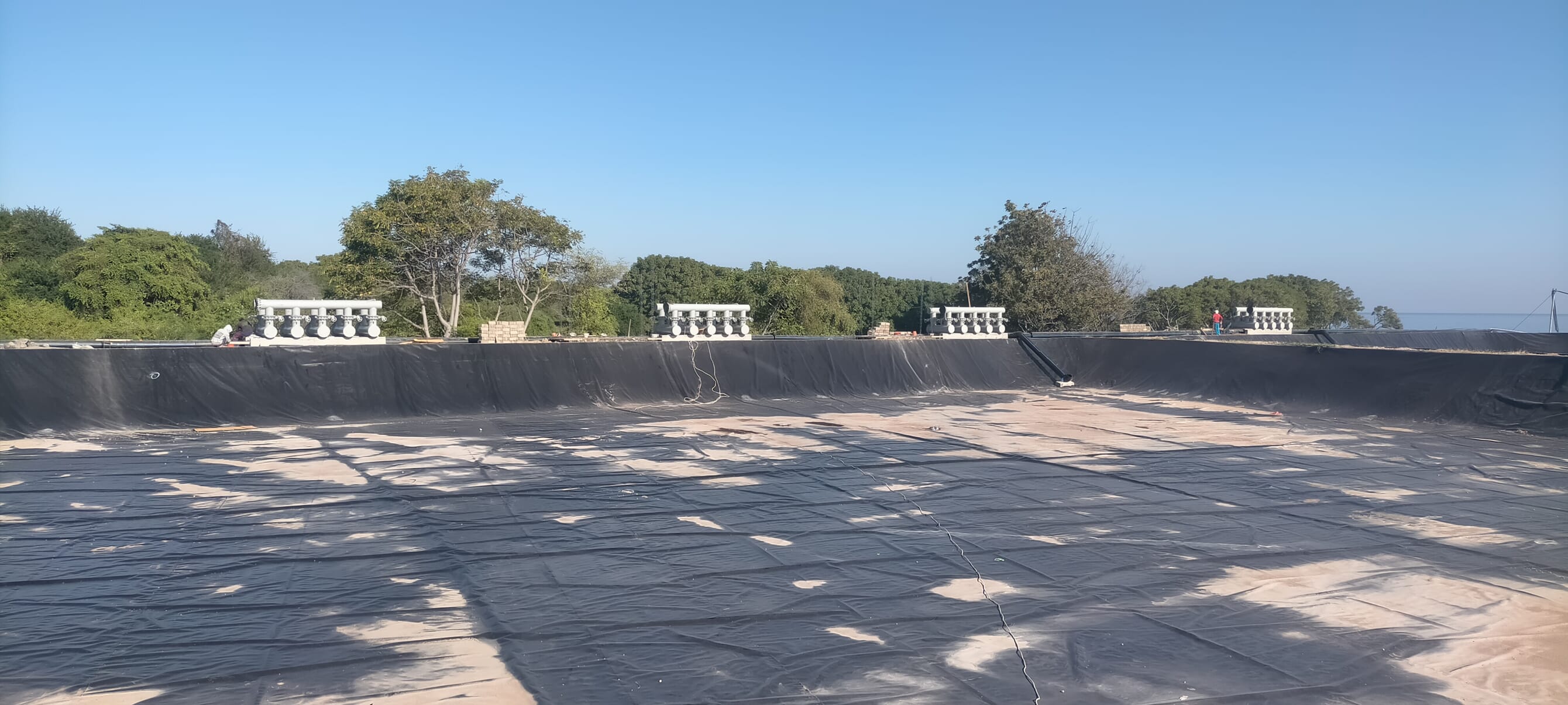 UV disinfection proves its worth in shrimp grow-out ponds | The Fish Site