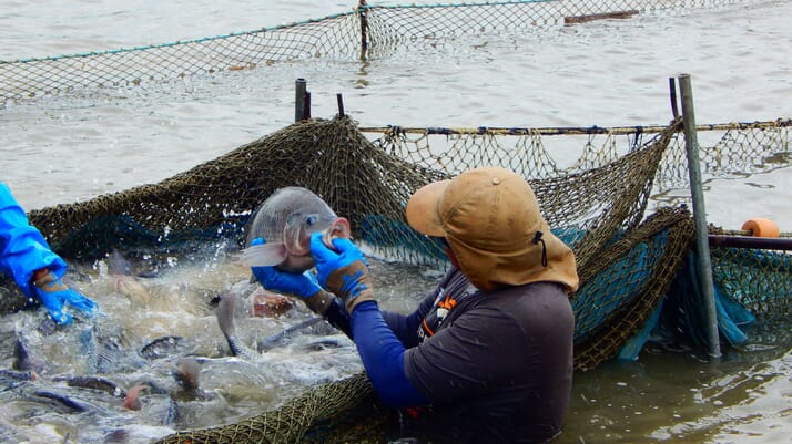 Costa Rica adopts new eco-label for sustainable seafood | The Fish Site