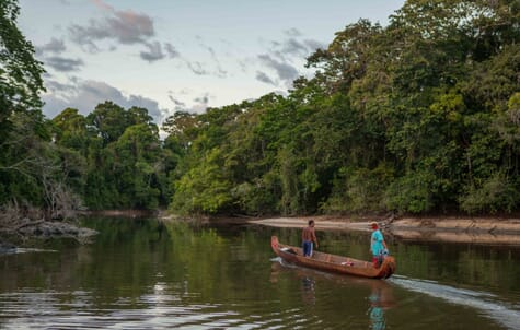 How aquaculture can help protect Suriname’s indigenous peoples | The ...