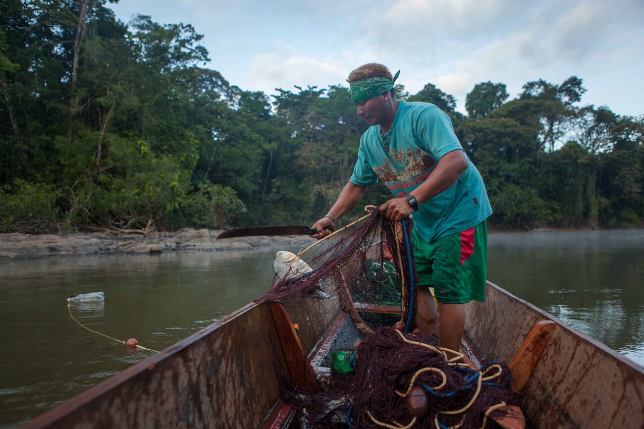 How aquaculture can help protect Suriname’s indigenous peoples | The ...