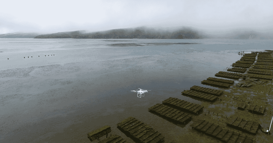 Restorative aquaculture: can farming shellfish and seaweed provide ...