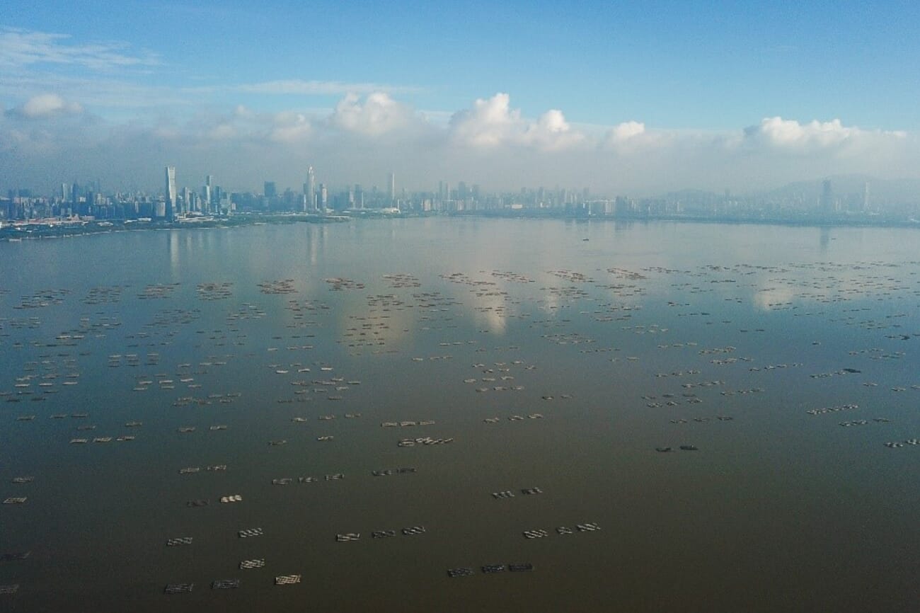 A tale of two cities | The Fish Site