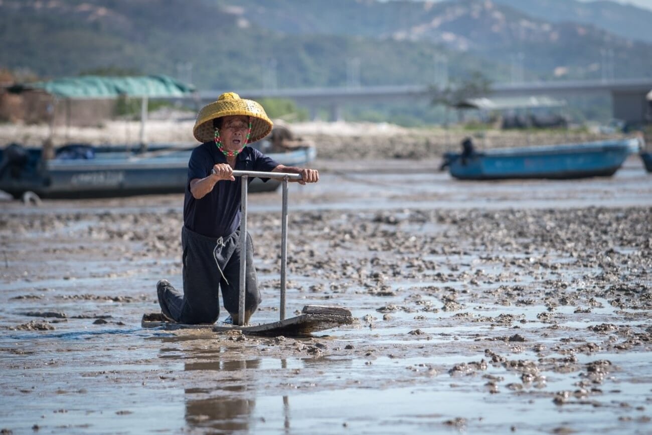 A tale of two cities | The Fish Site