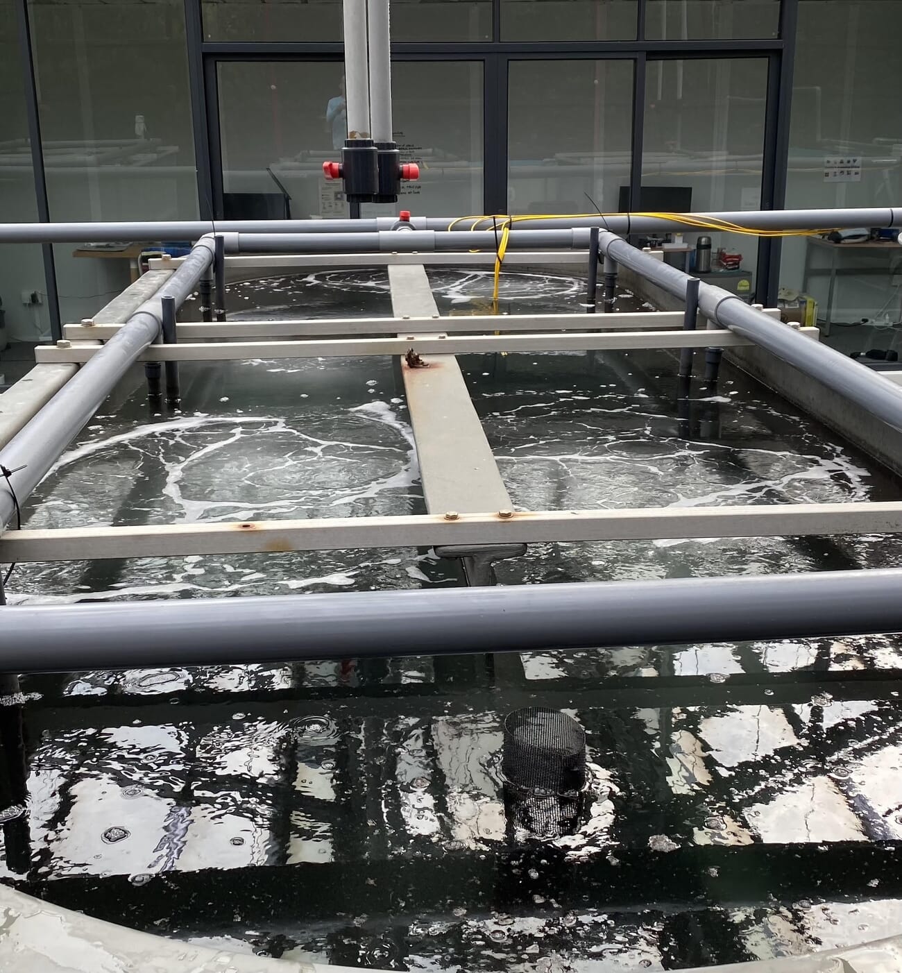 High-five: developing “the world’s first vertical aquaculture farm ...