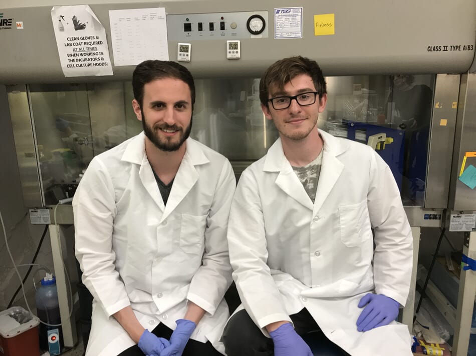 Cell-based seafood and the future of food: part I | The Fish Site